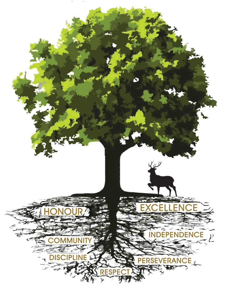 Our Guiding Statements » Northfields