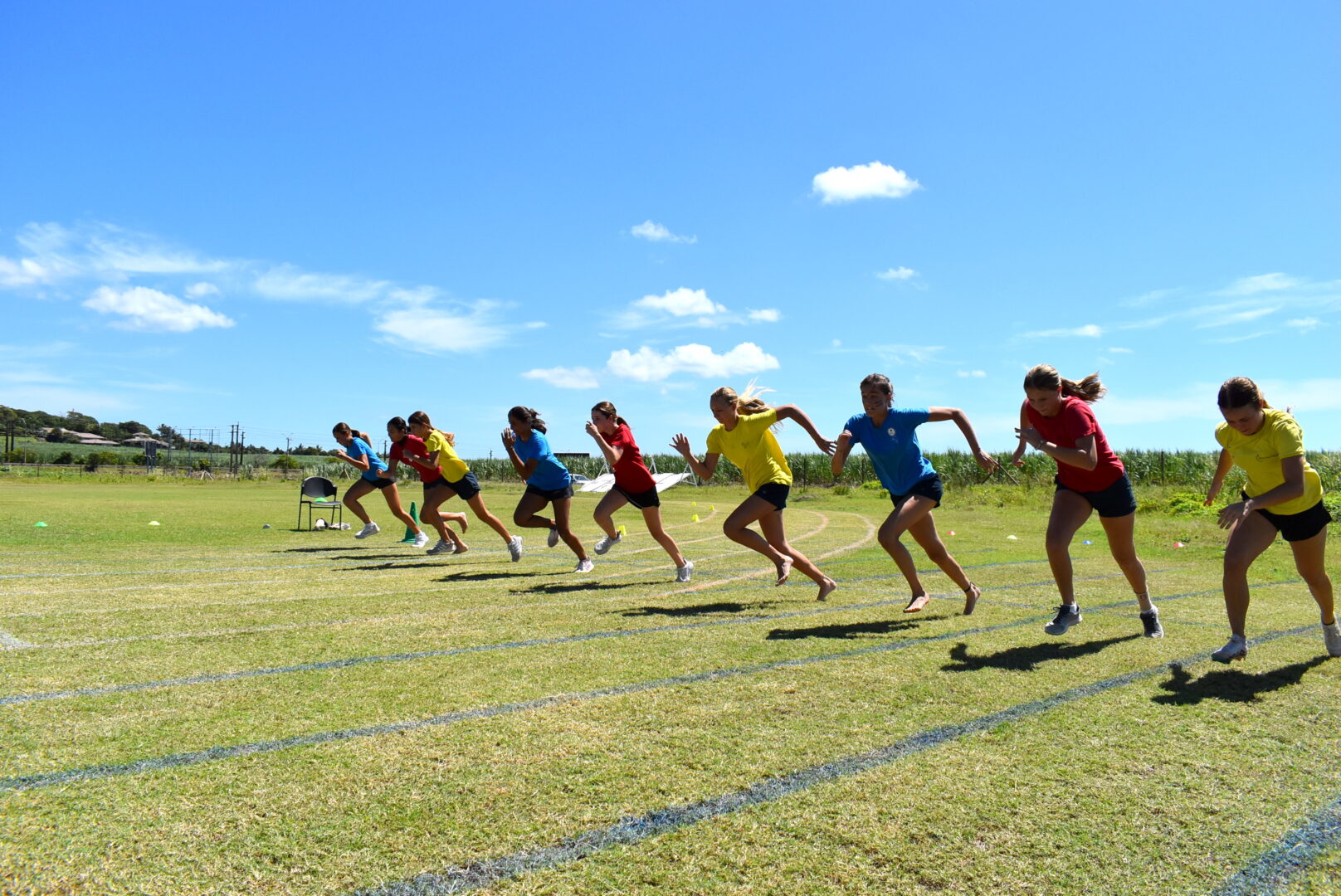 Sports » Northfields